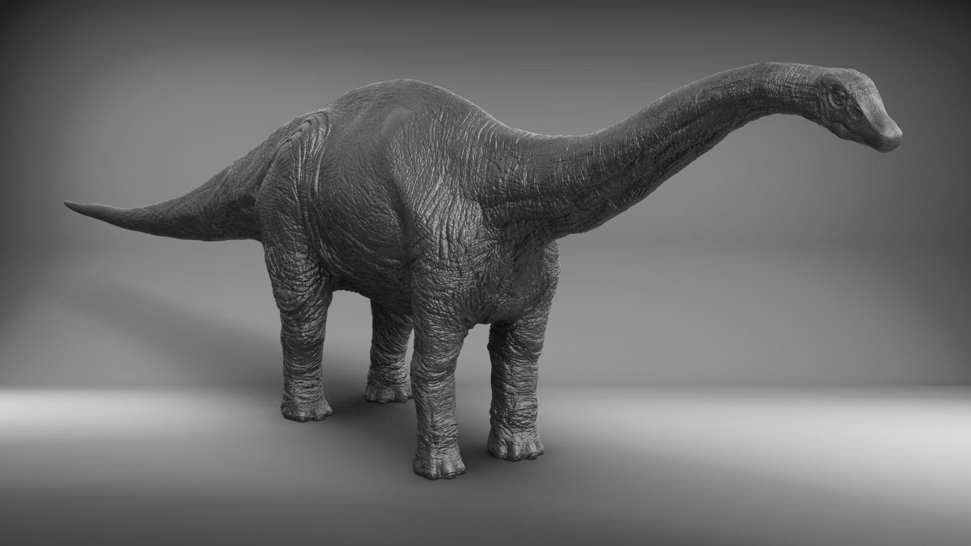 3D Diplodocus - TurboSquid 1294905