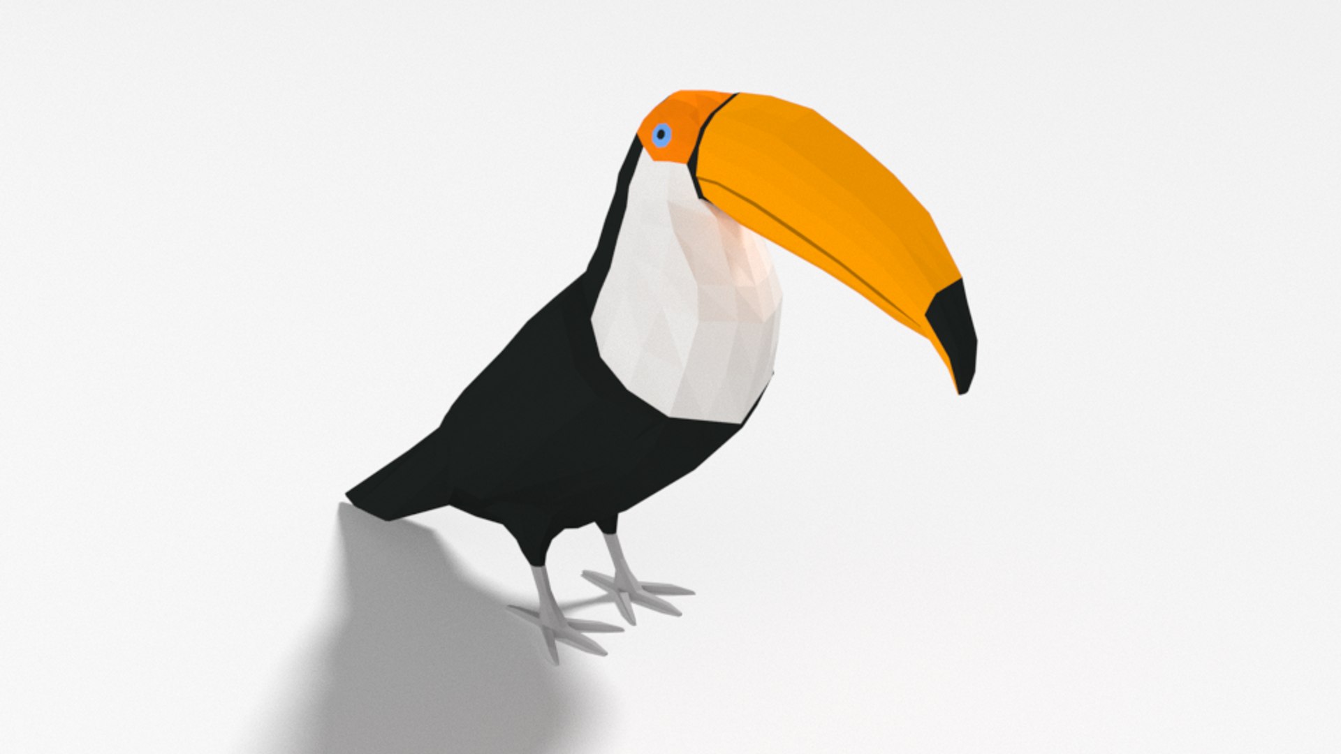 Toucan Bird 3D Model - TurboSquid 1443073
