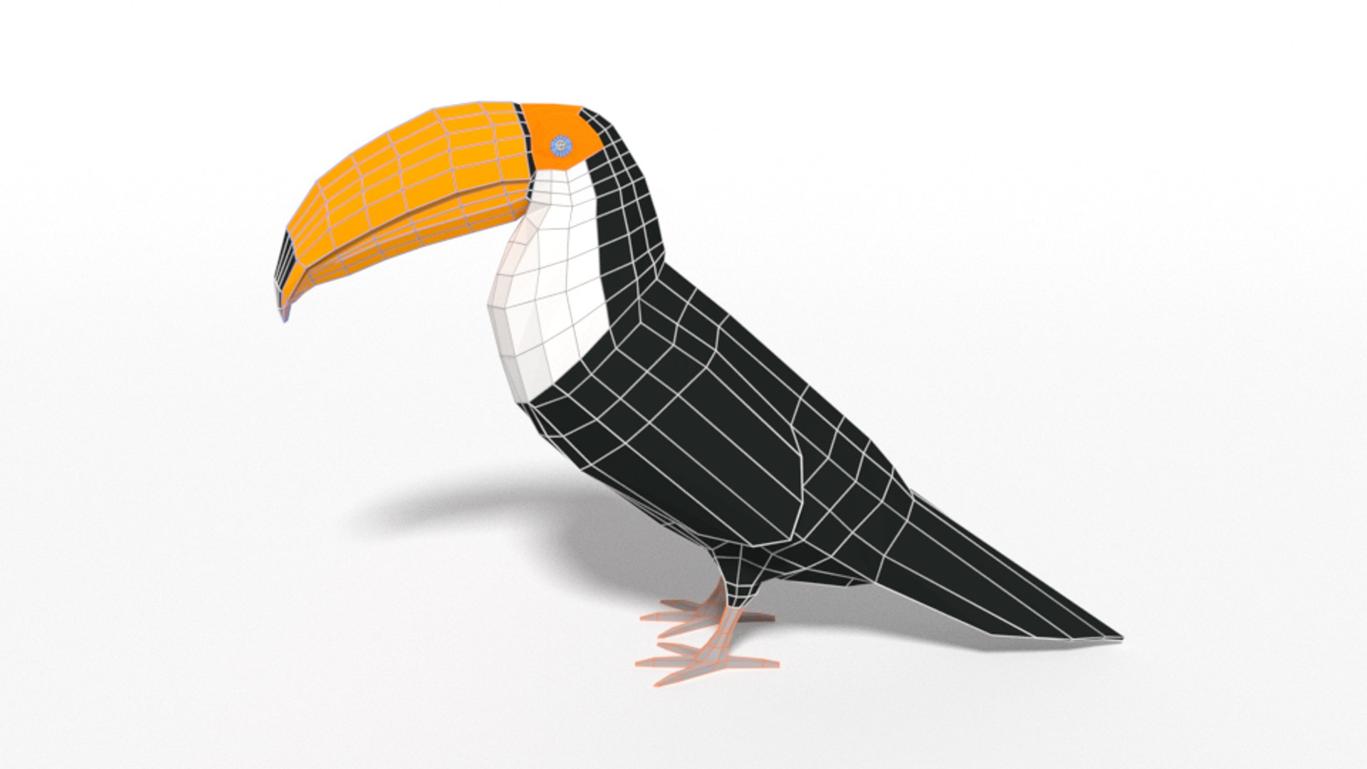 Toucan Bird 3D Model - TurboSquid 1443073
