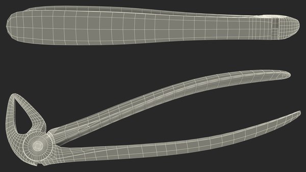 modelo 3d Pinzas de extracción dental - TurboSquid 1981859