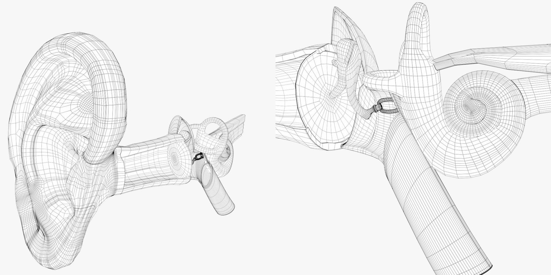 3d Pbr Uv-textured Human Ear Model