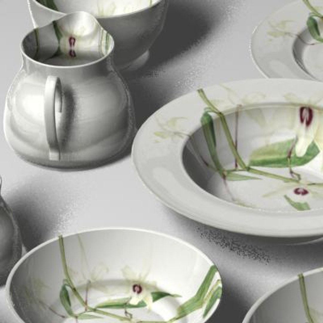 Max Dinner Sets Plates Bowls