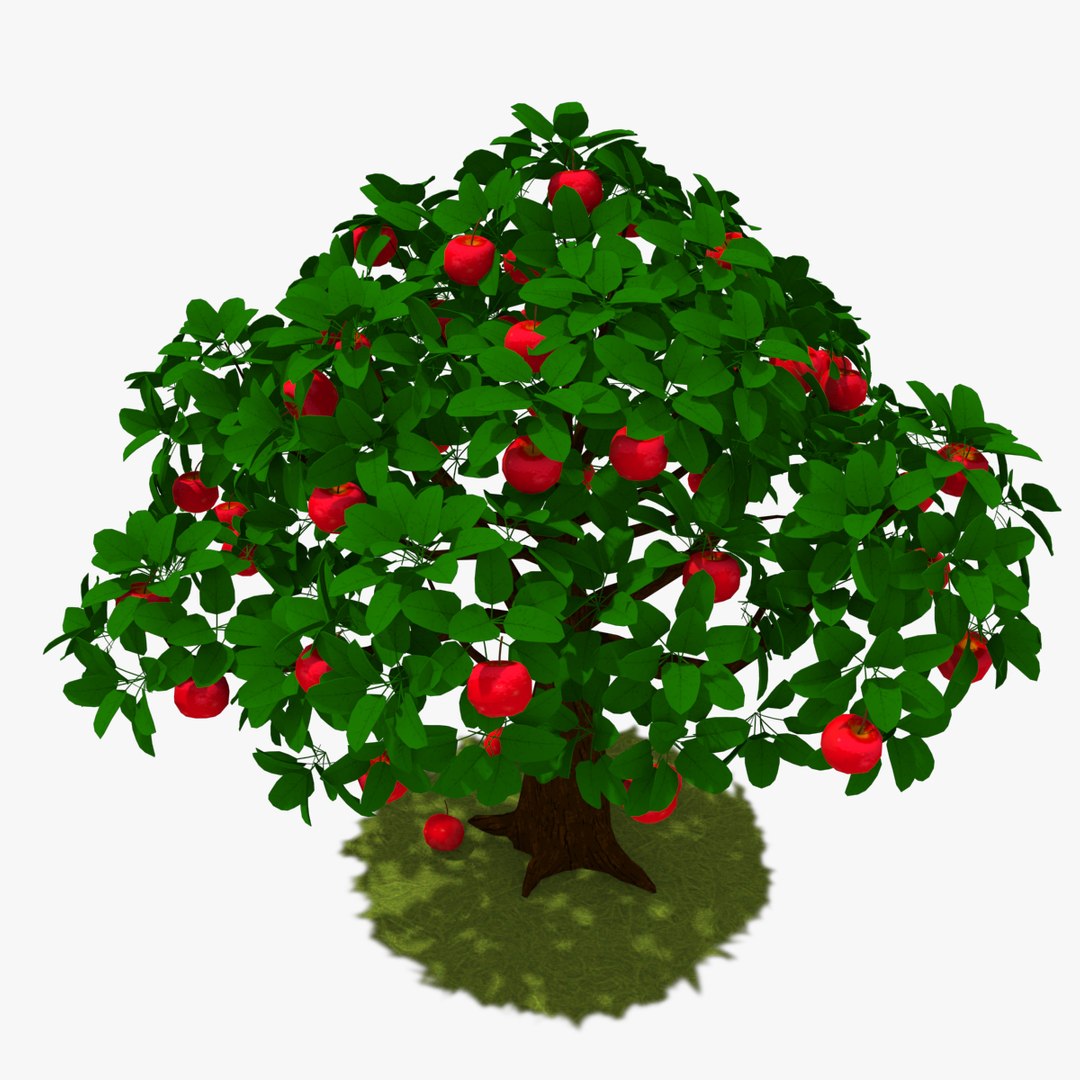 3d Tree Apple Model
