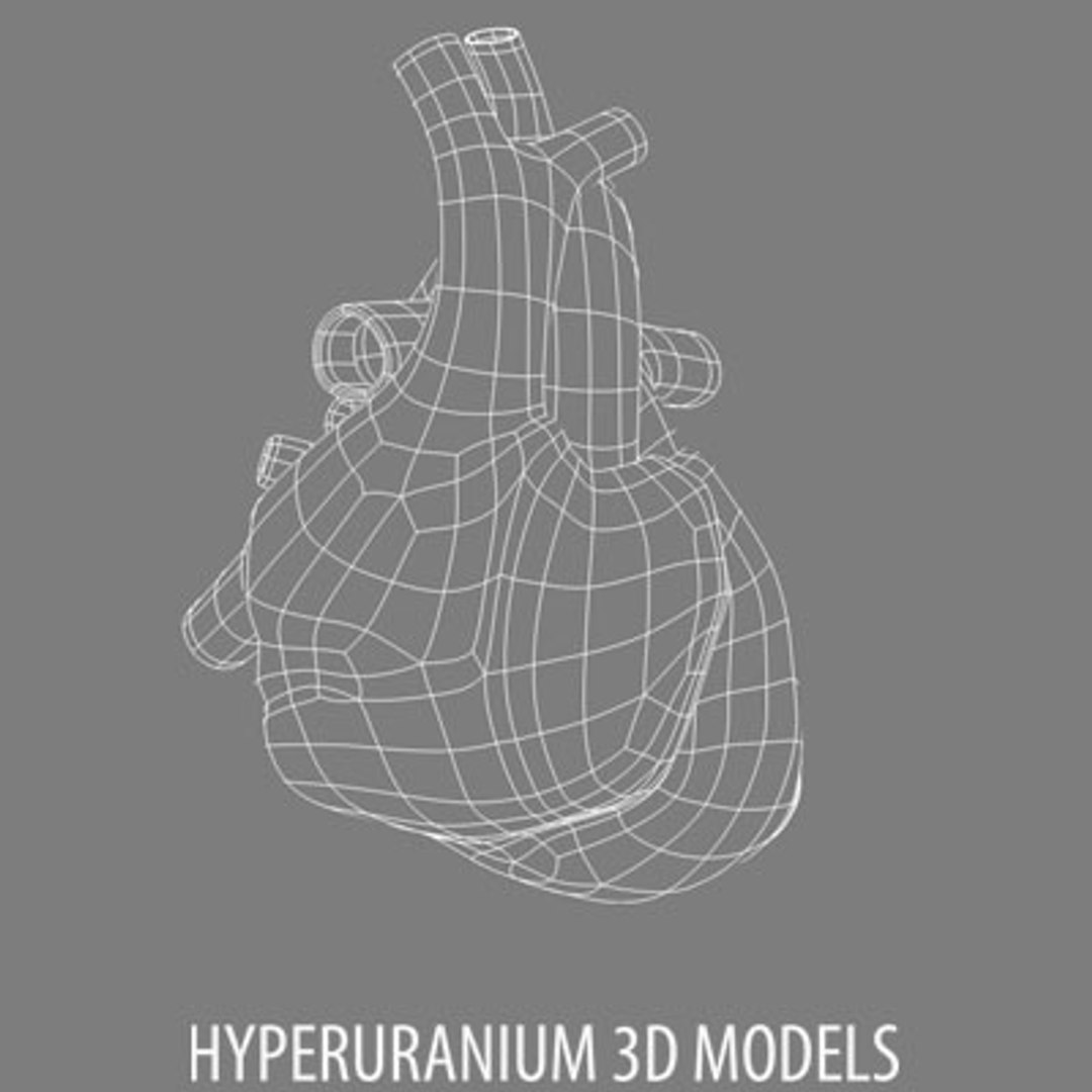 Human Heart Obj