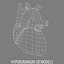 Human Heart Obj