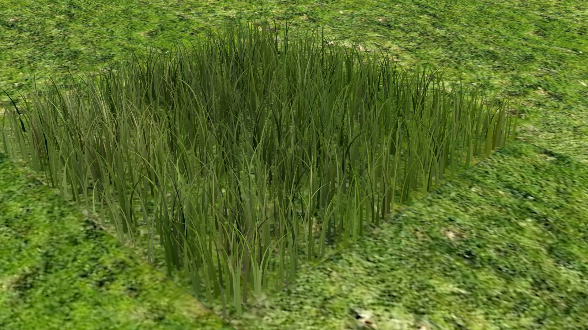 Grass model - TurboSquid 1802362