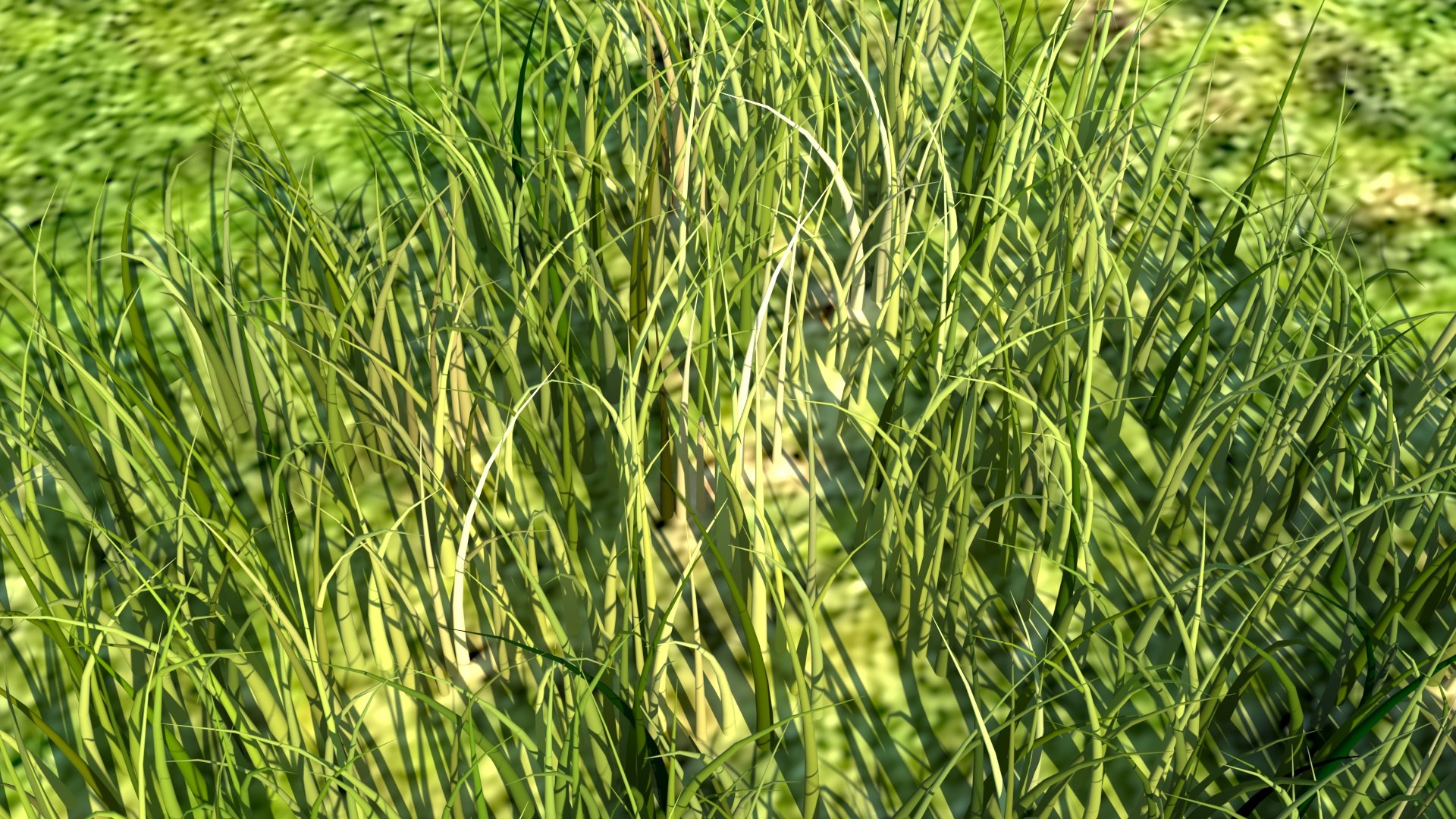 Grass model - TurboSquid 1802362
