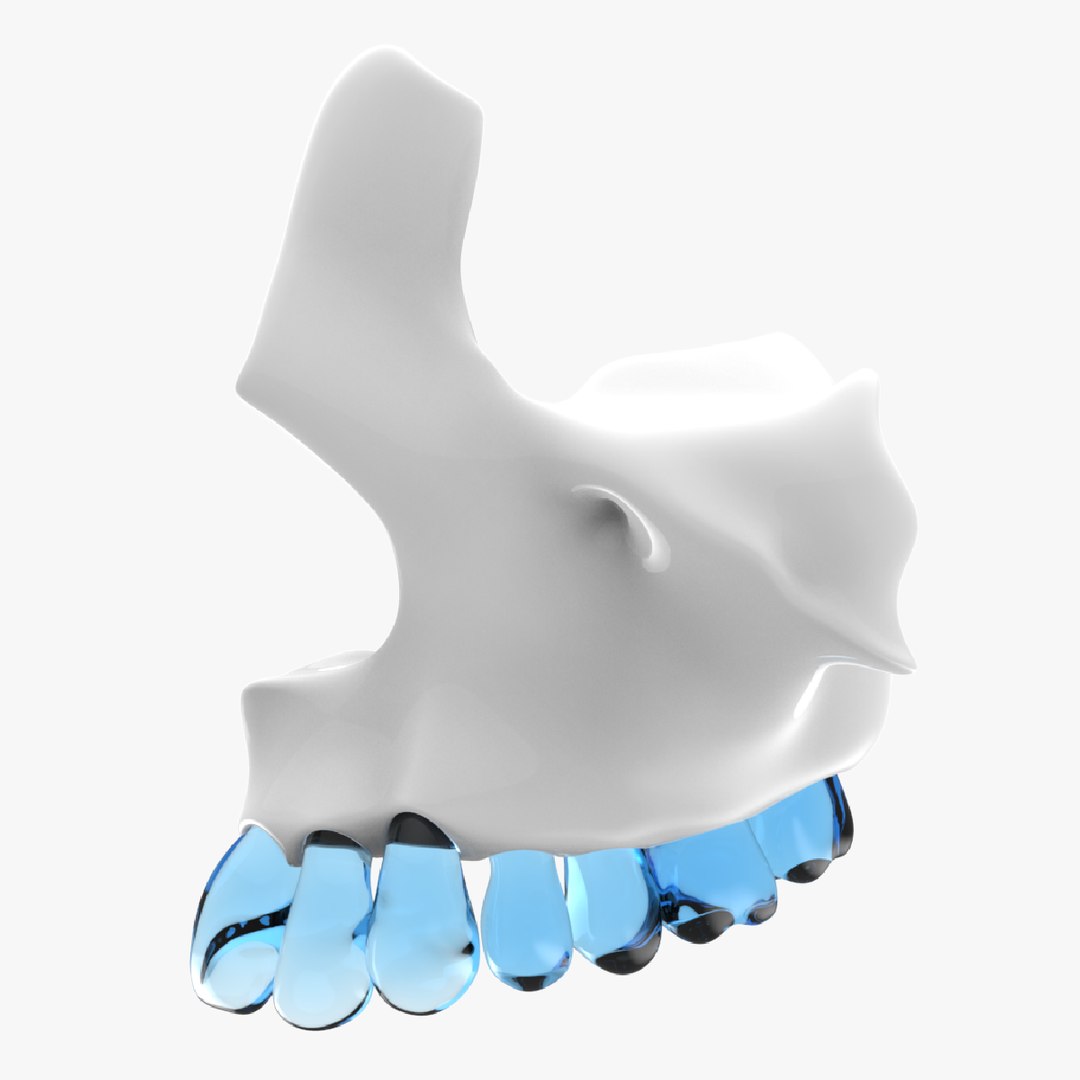 Maxilla Teeth Obj