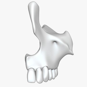 Anatomy Maxilla 3D Models for Download | TurboSquid
