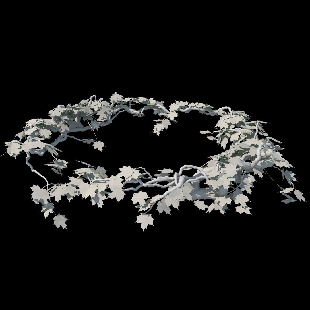 3D Realistic Ivy Circle - TurboSquid 1151651