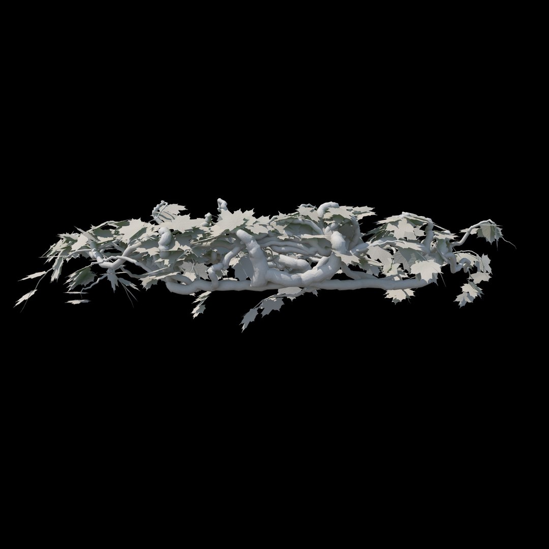 3D Realistic Ivy Circle - TurboSquid 1151651