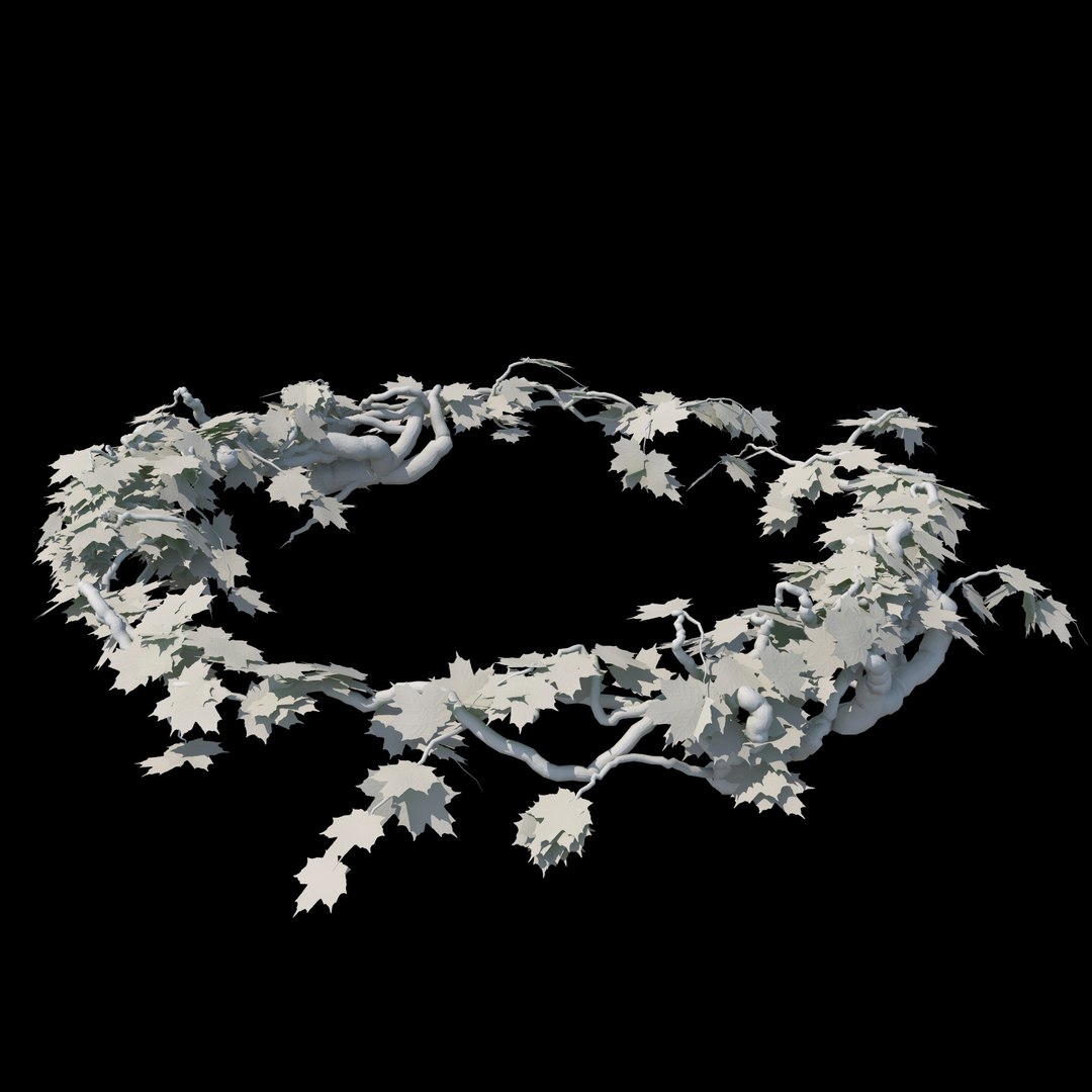 3D Realistic Ivy Circle - TurboSquid 1151651