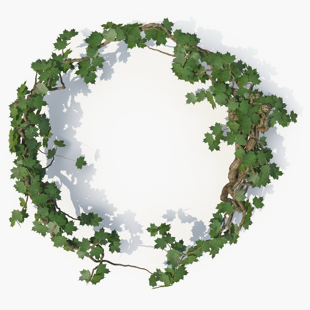 3D Realistic Ivy Circle - TurboSquid 1151651