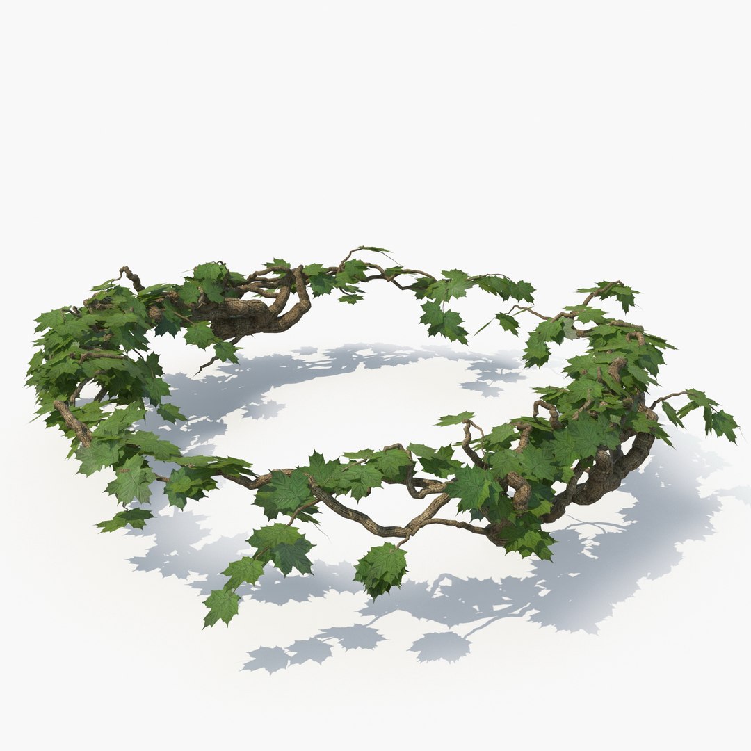 3D Realistic Ivy Circle - TurboSquid 1151651