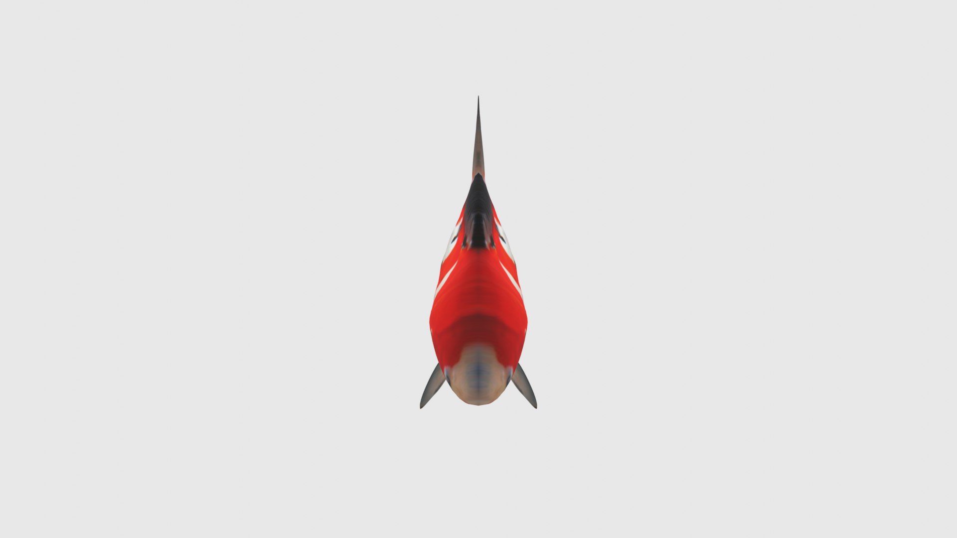 Low Poly Koi Fish Rigged With Realistic Texture 3D Model - TurboSquid ...