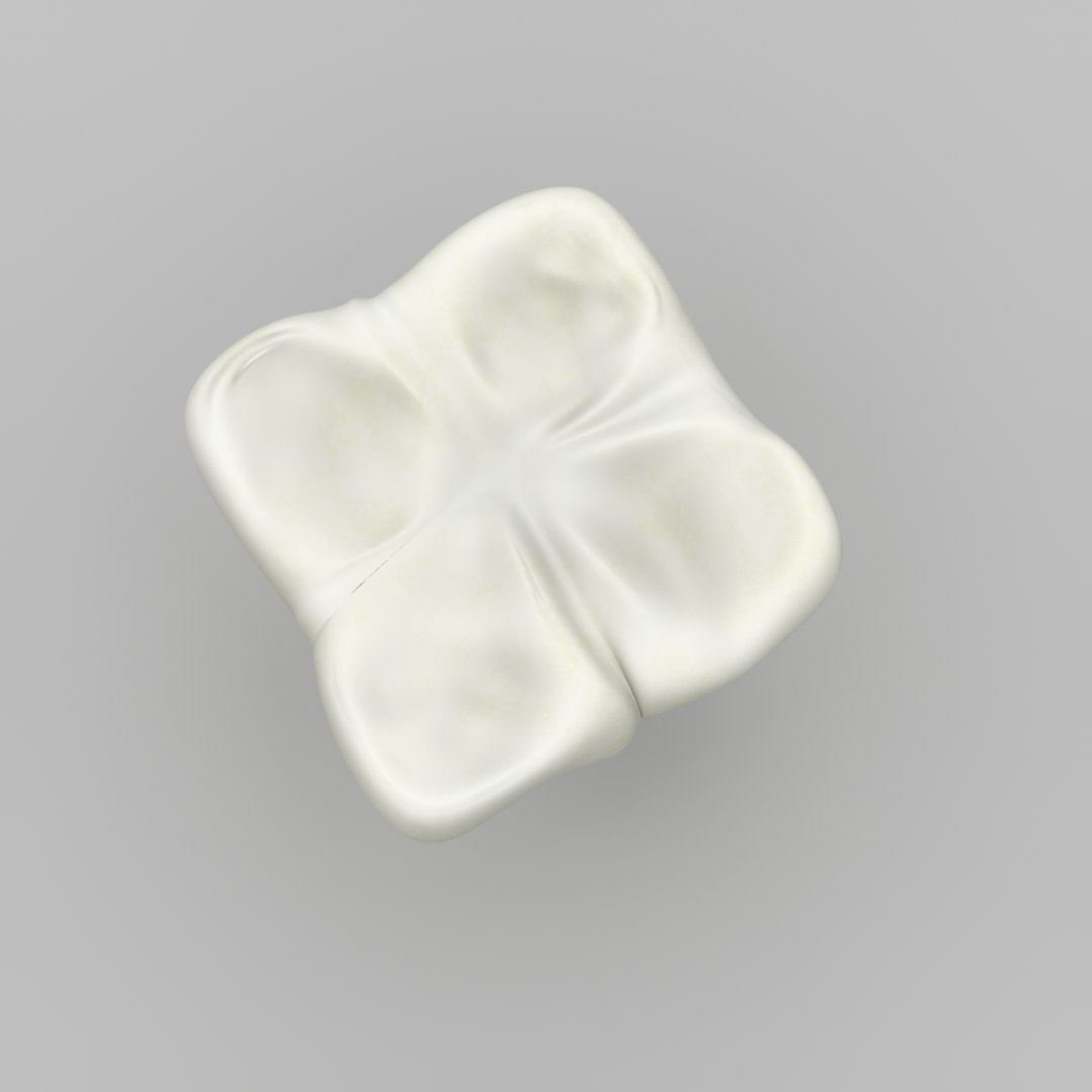 3d Model Tooth