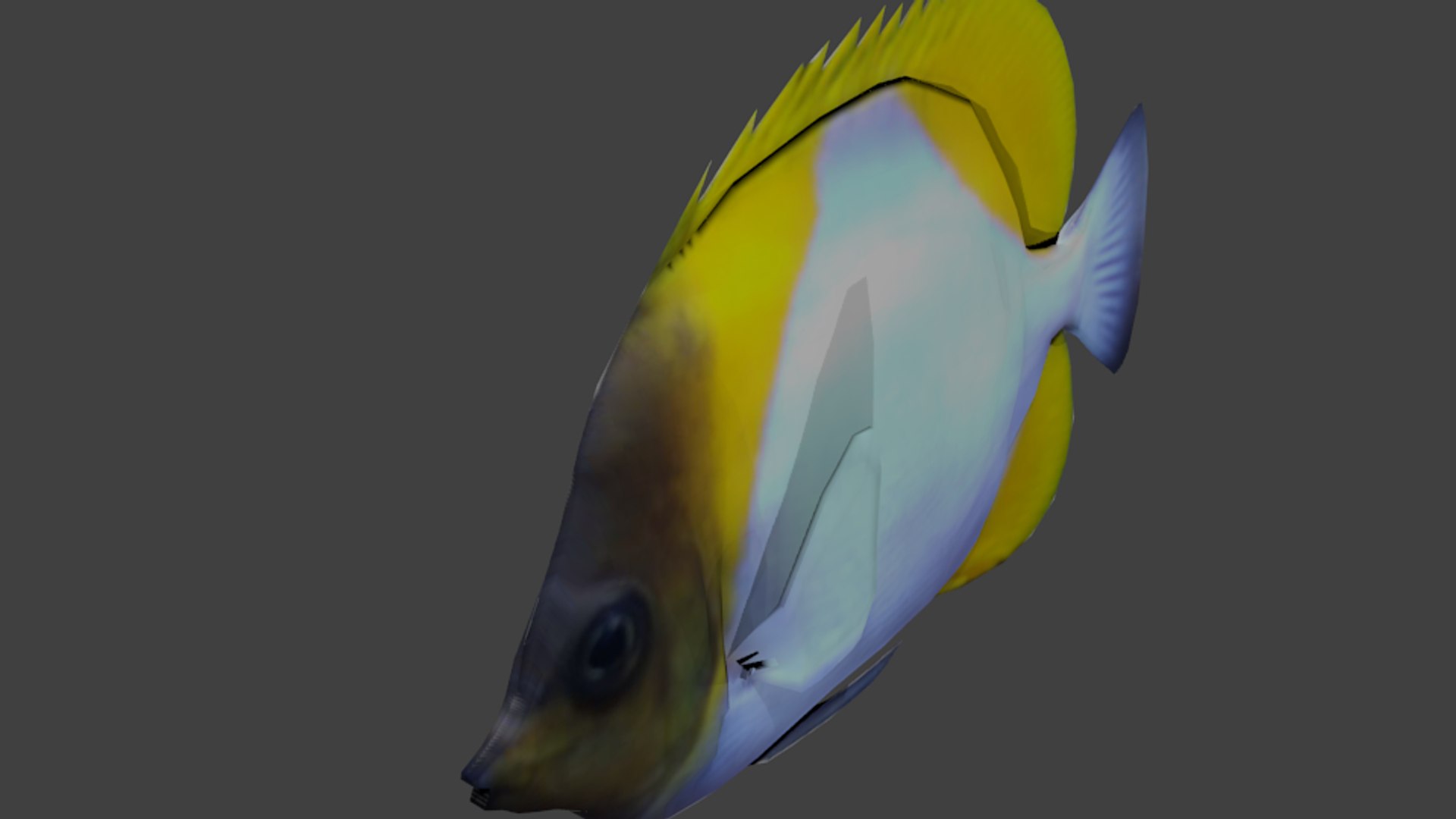 Pyramid Butterflyfish 3d Blend