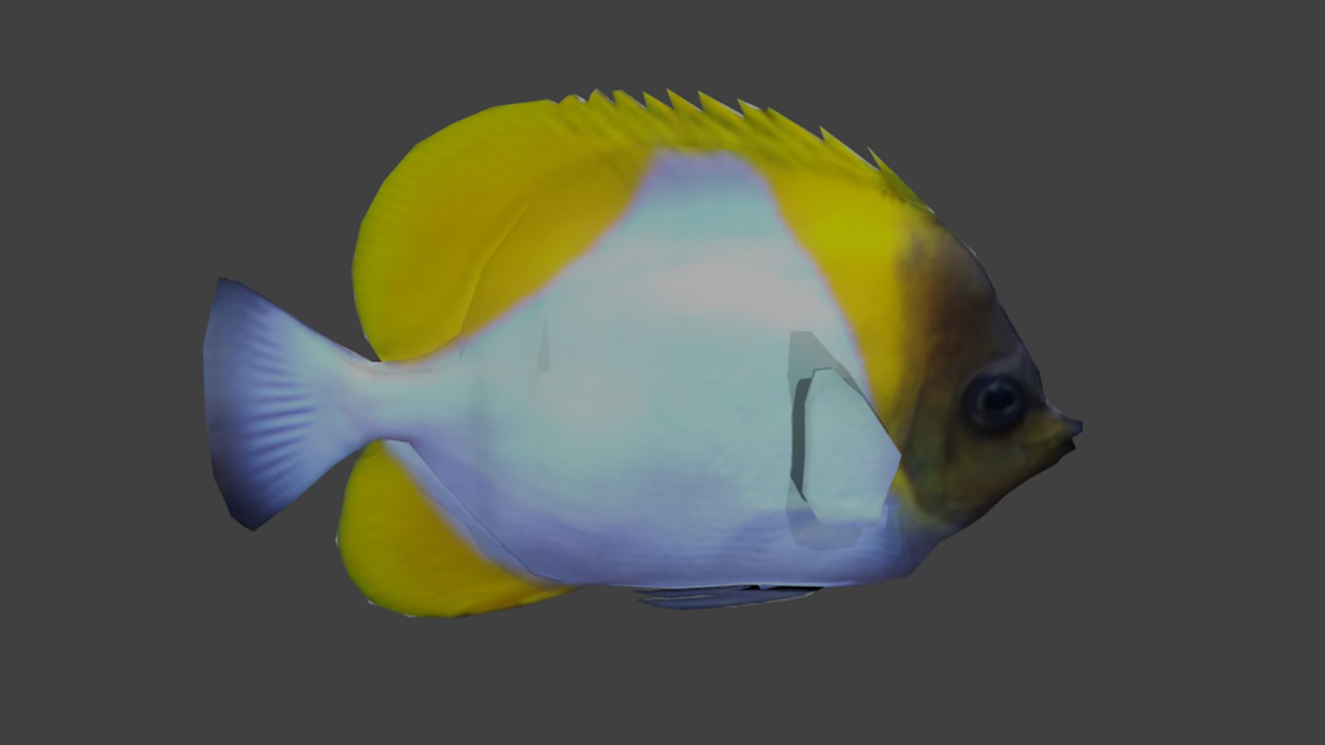 Pyramid Butterflyfish 3d Blend