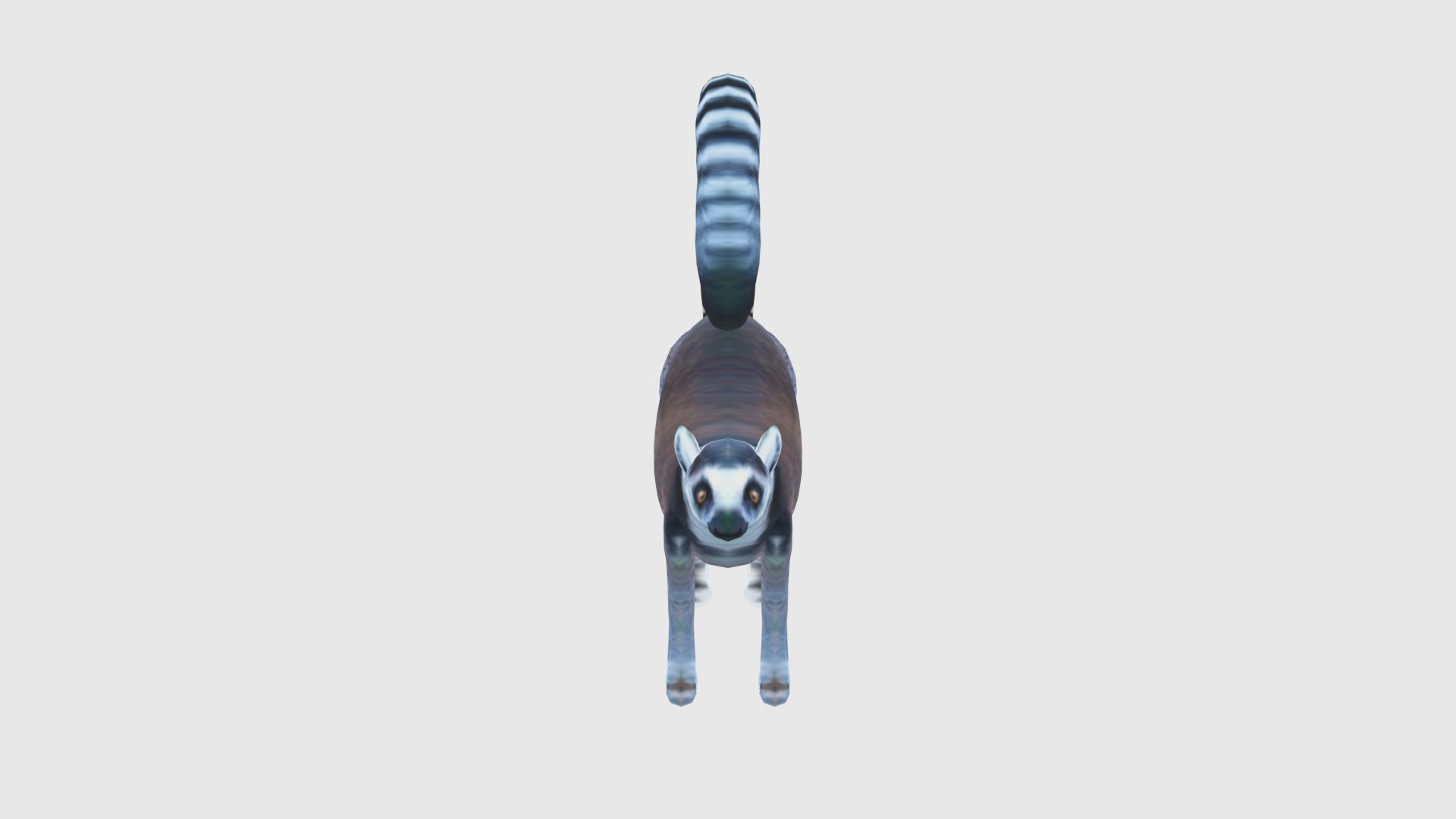 3D Model Low Poly Lemur Rigged With Realistic Texture - TurboSquid 1876137