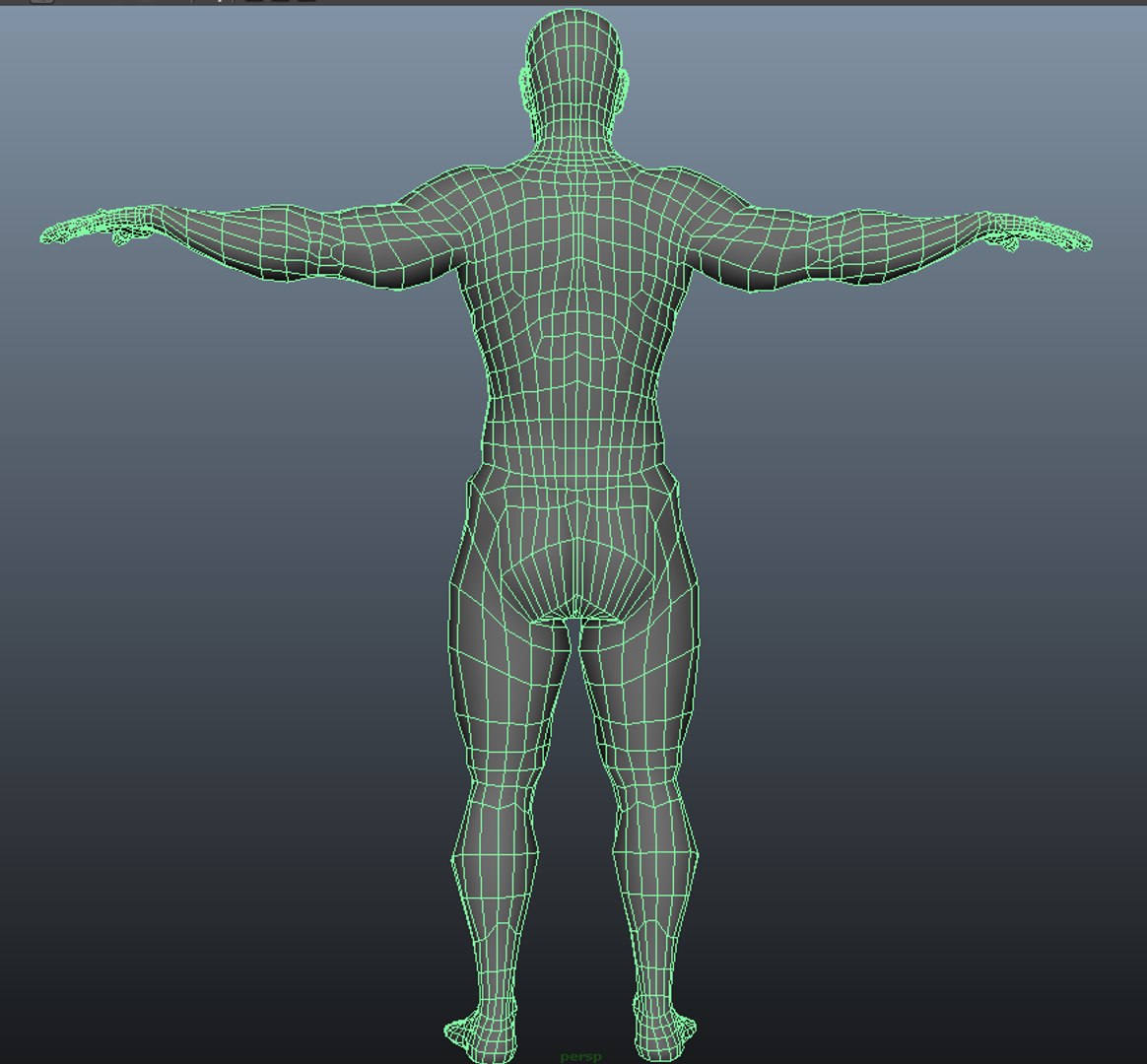3d Male Human Man