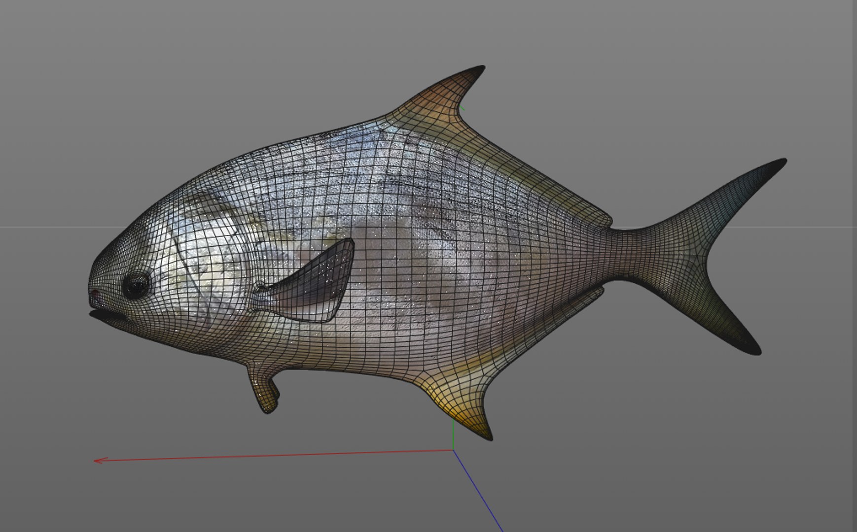 Fish 3D - TurboSquid 1551923