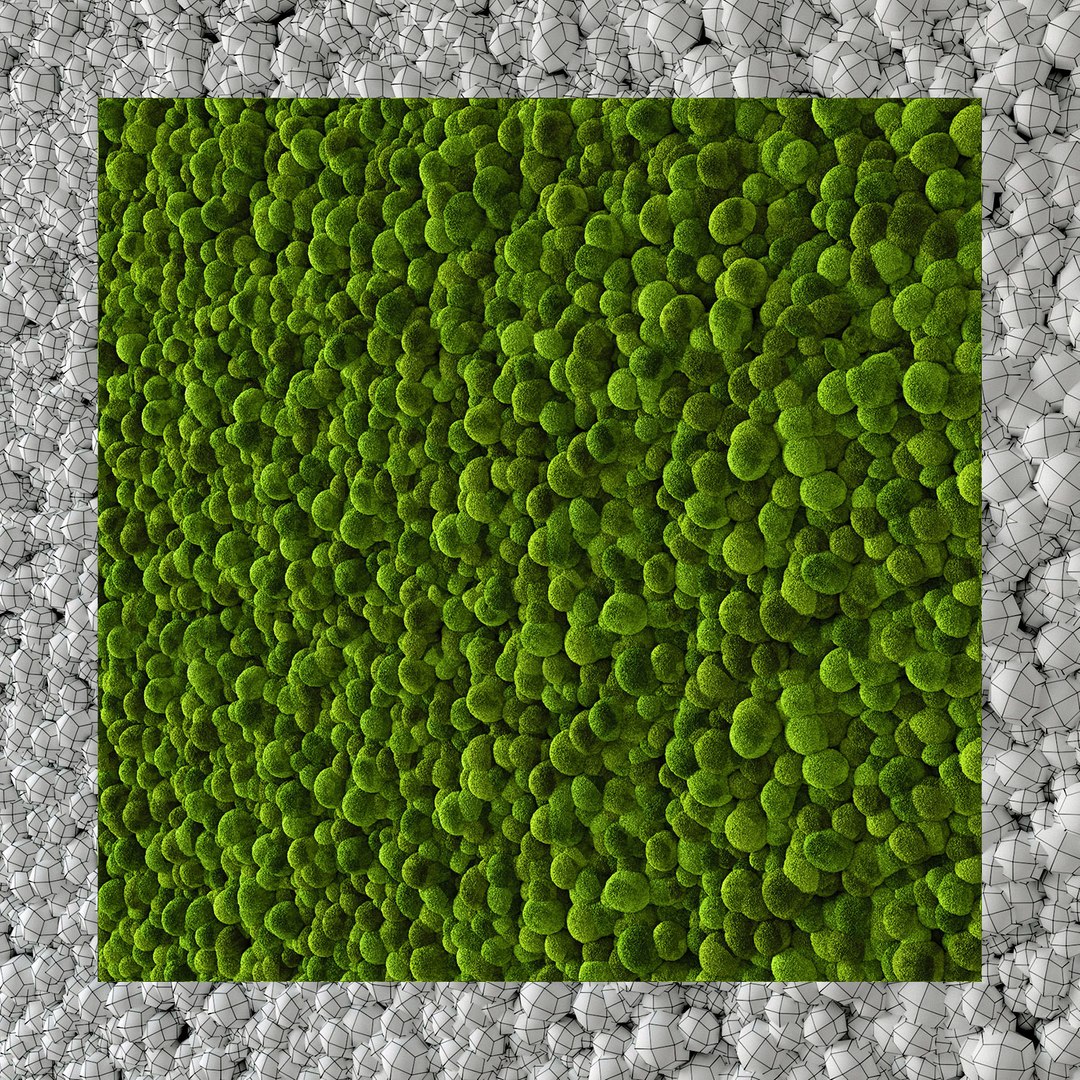 Moss 3D - TurboSquid 1497721