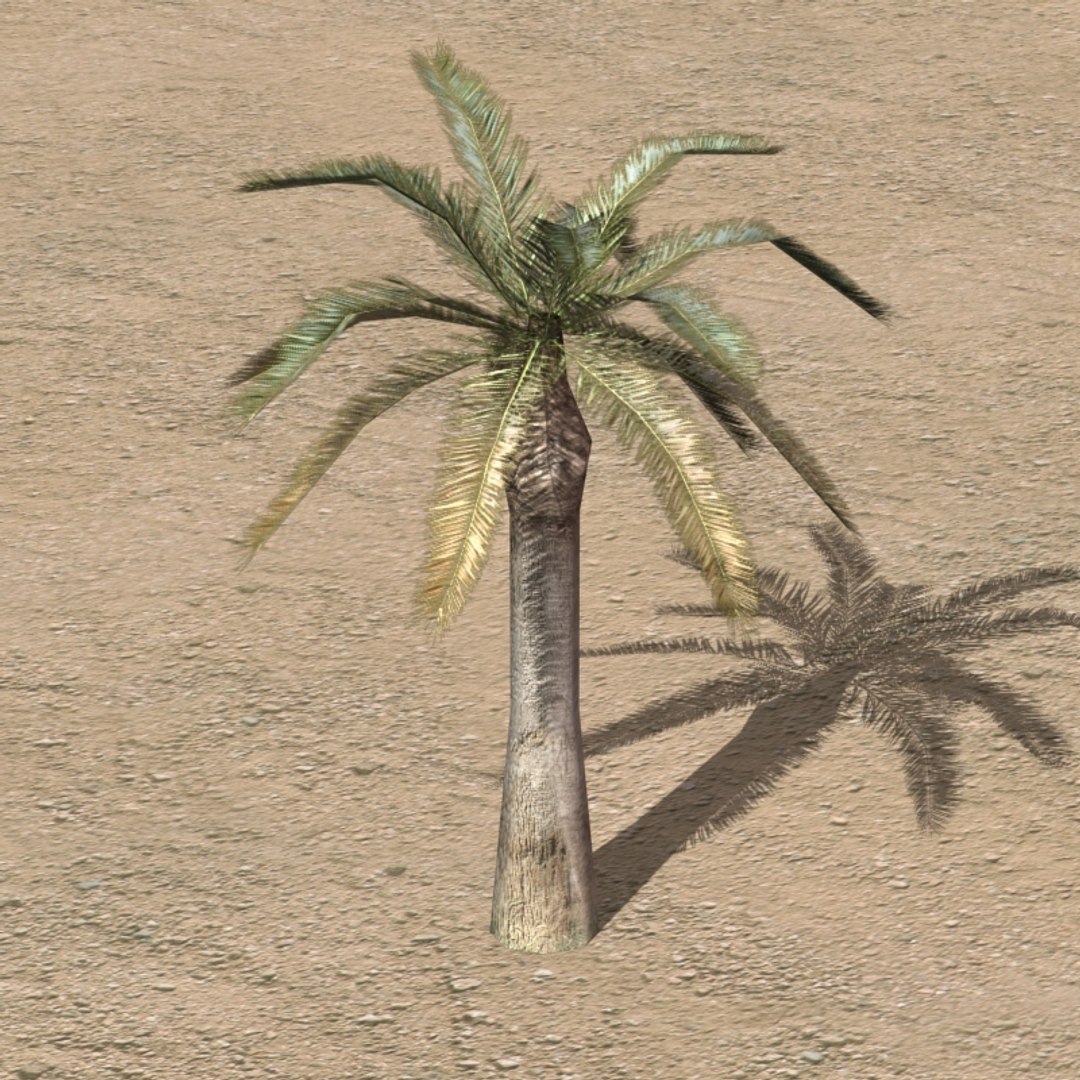 arab city palm elements 3d 3ds