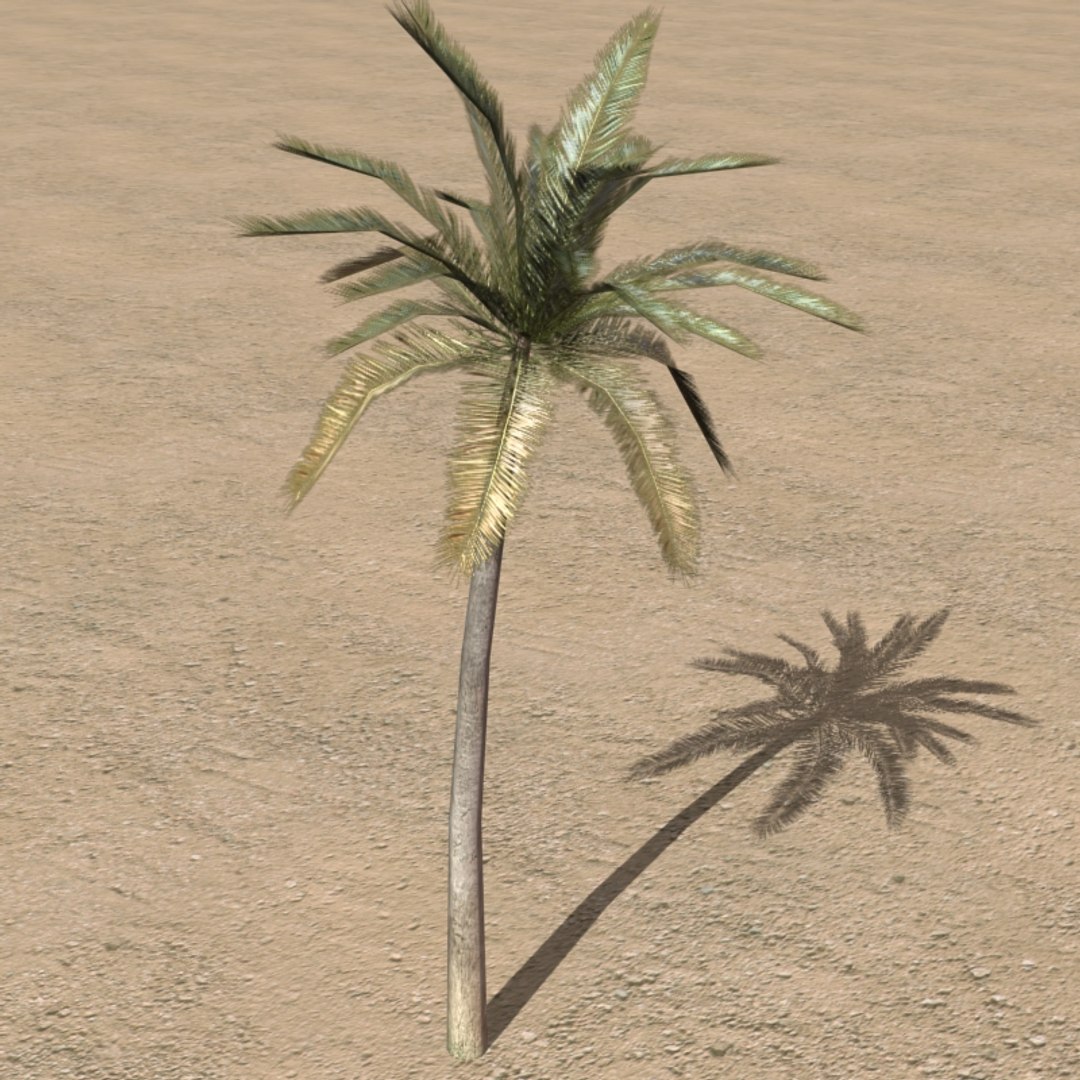 arab city palm elements 3d 3ds