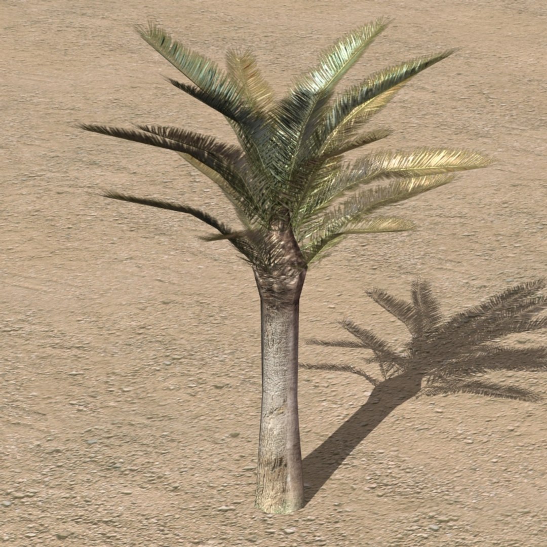 arab city palm elements 3d 3ds