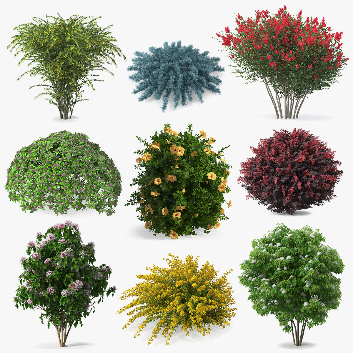 modelo 3d Colección Arbustos 8 - TurboSquid 2104744