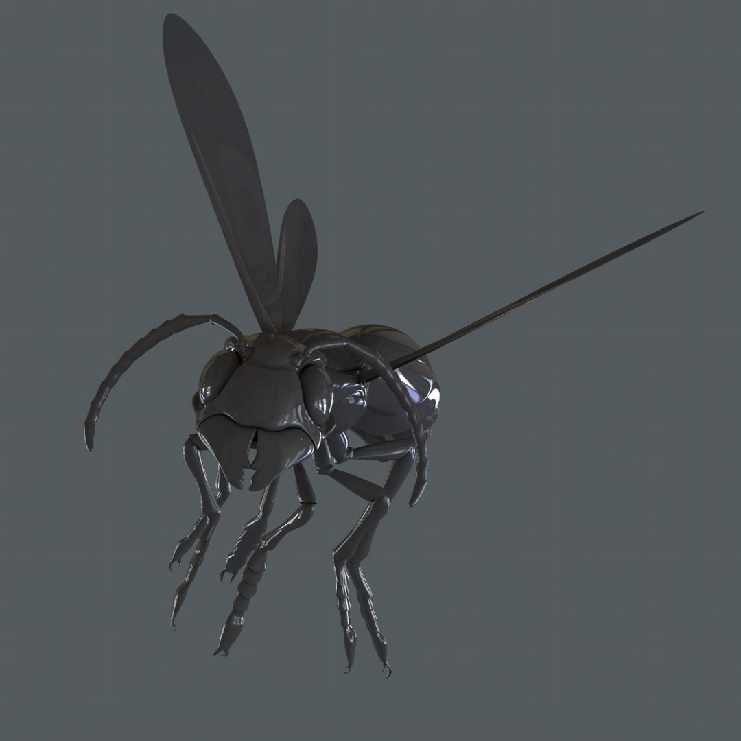 3d Model Hornet