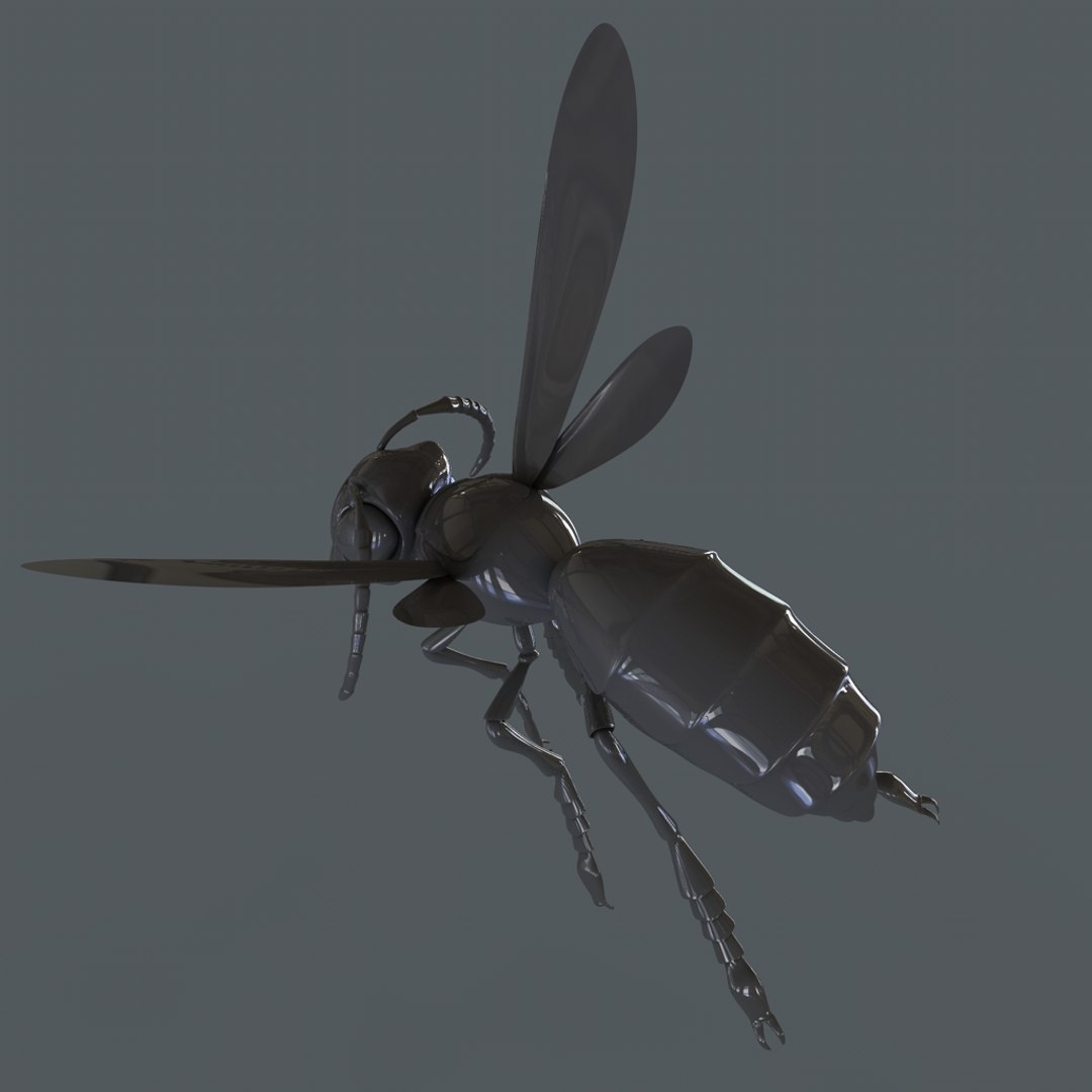 3d Model Hornet