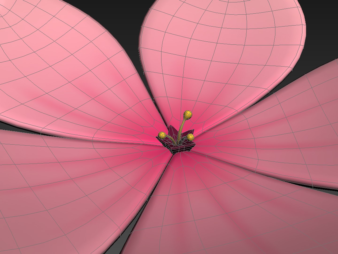 Sakura Flower 3D Model - TurboSquid 1472702