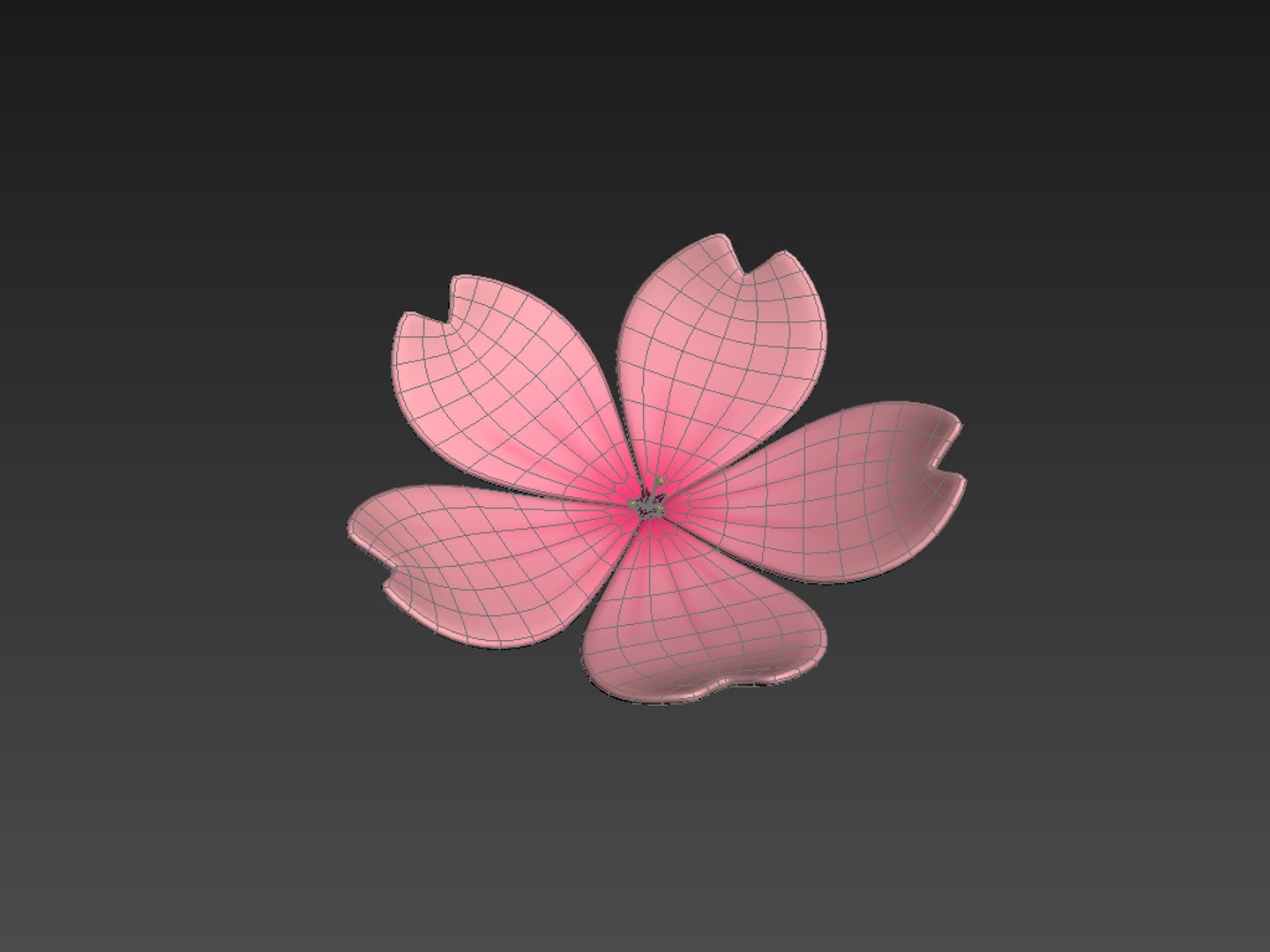 Sakura Flower 3D Model - TurboSquid 1472702