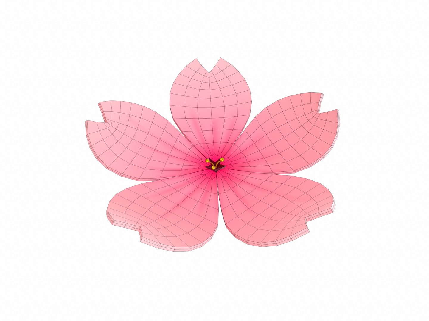 Sakura Flower 3D Model - TurboSquid 1472702
