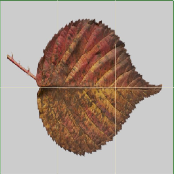 아스팔트 잎 3D 모델 - TurboSquid 1223462