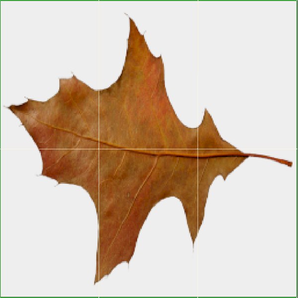 아스팔트 잎 3D 모델 - TurboSquid 1223462