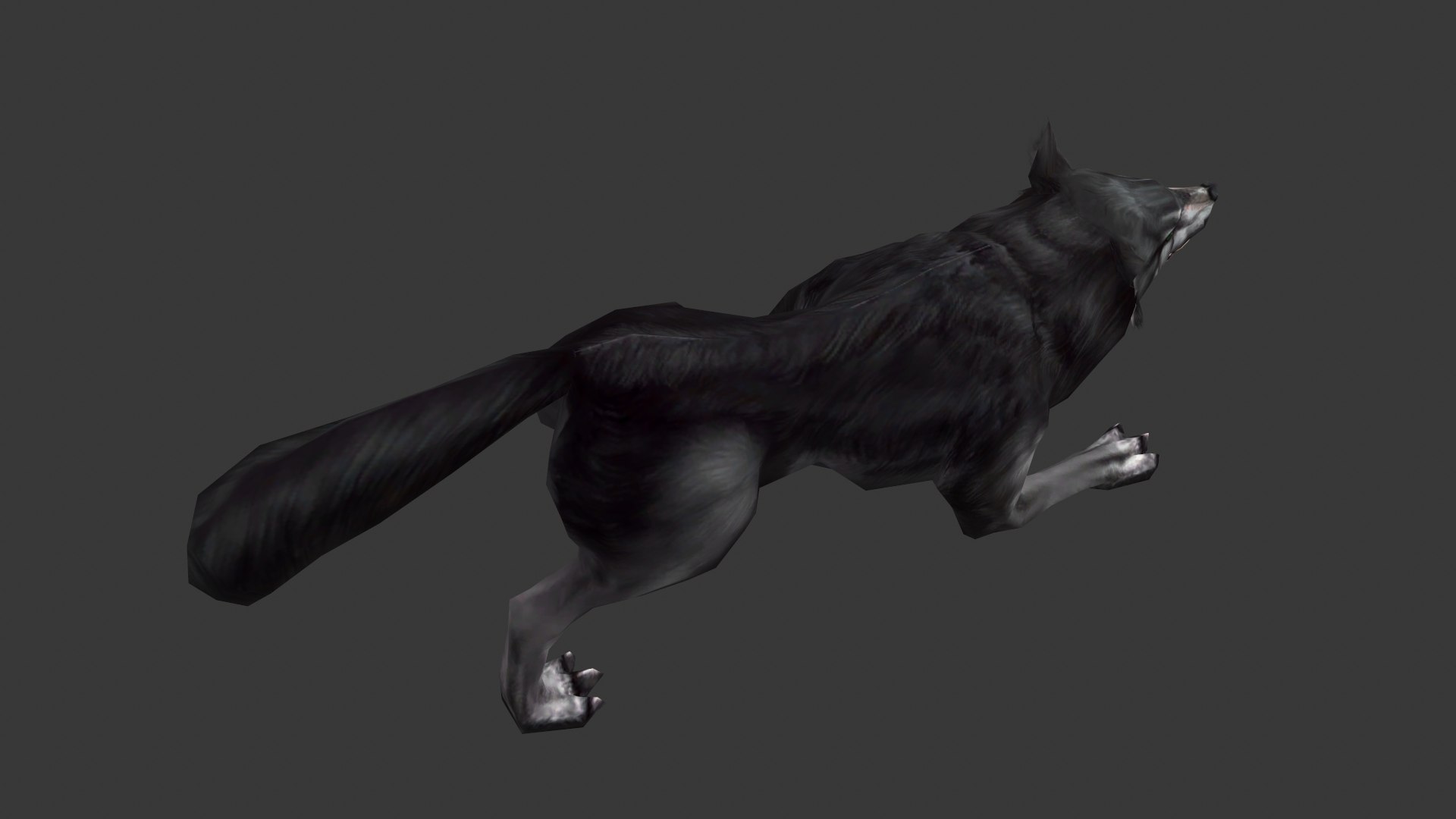 3D Animated Wolf - TurboSquid 2190946