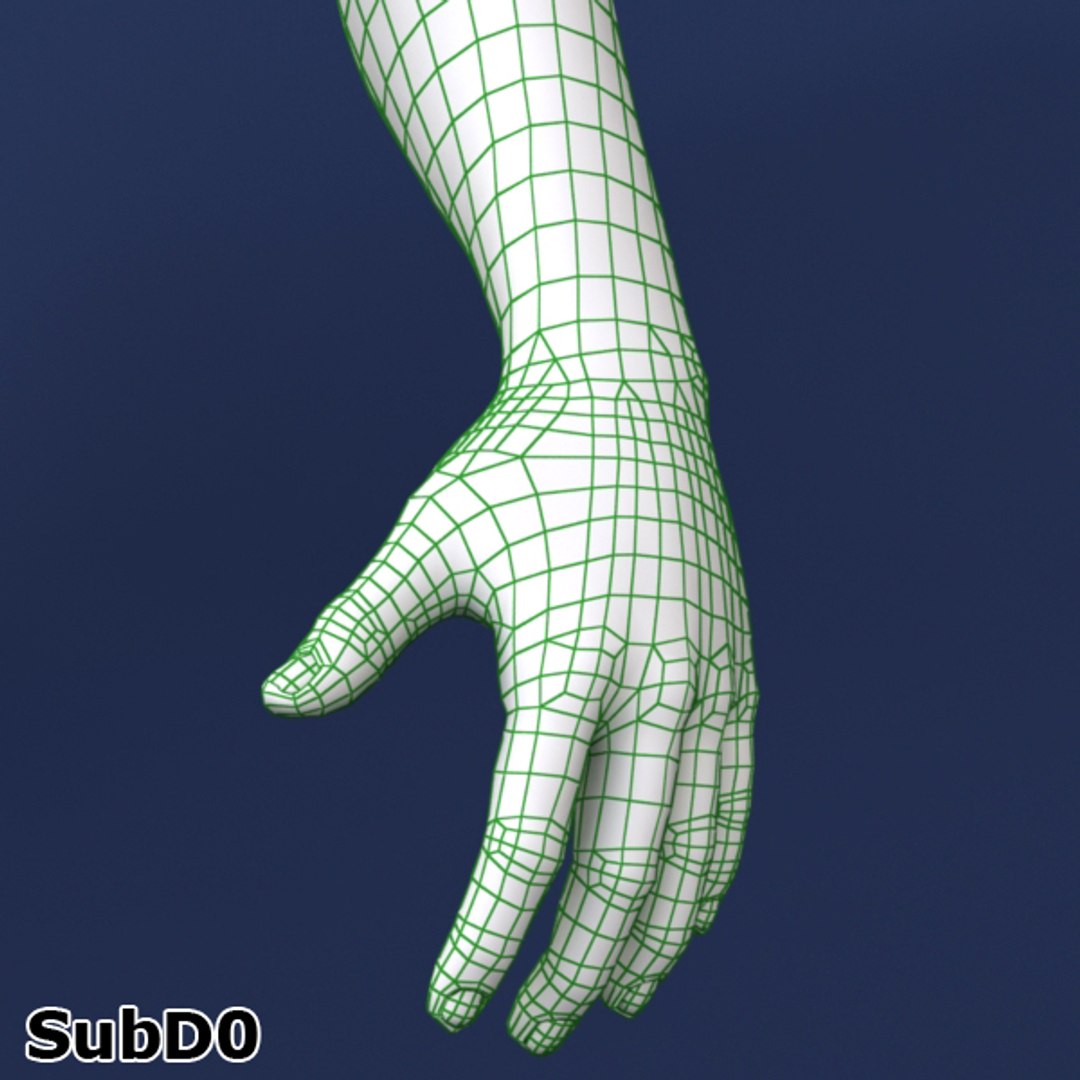 Polygonal Male Body Character 3d Model