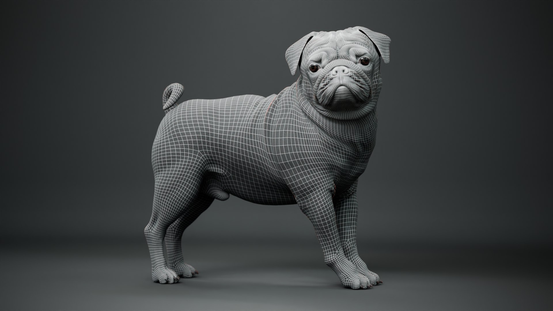 3D Pug Rigged Blender Model - TurboSquid 2340257