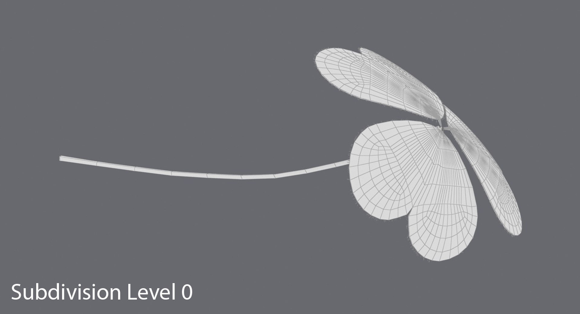 Clover----single-laying 3d Model