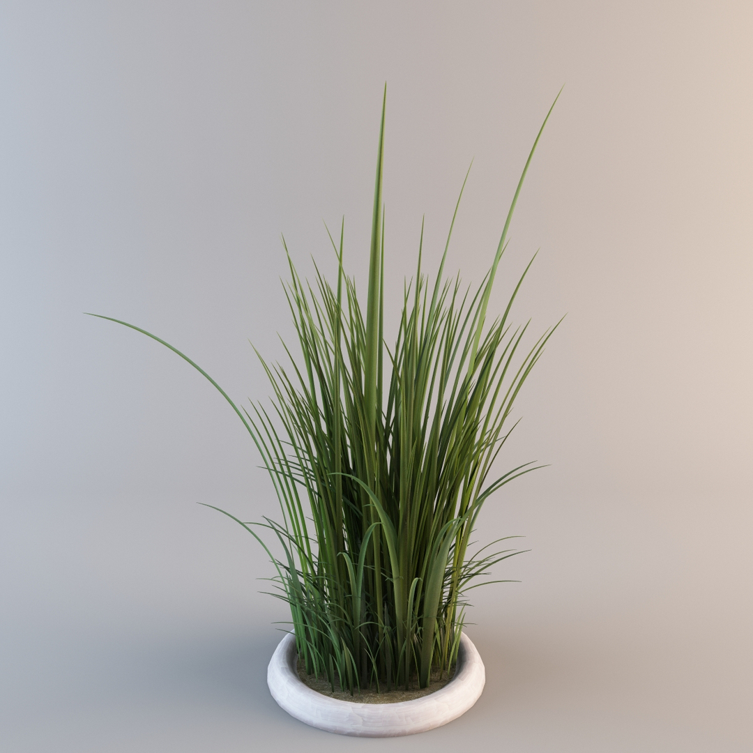 C4d Grass 2
