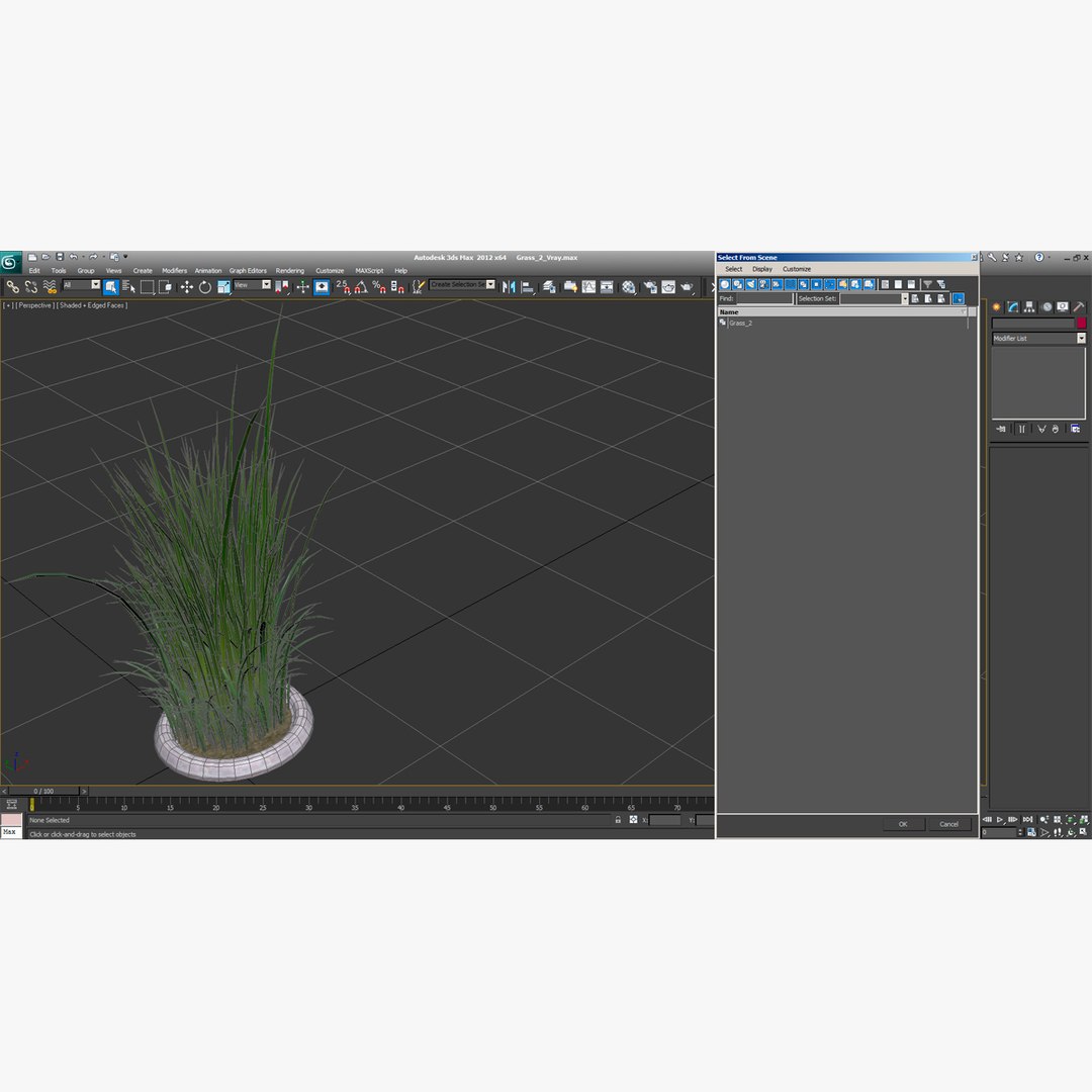 C4d Grass 2