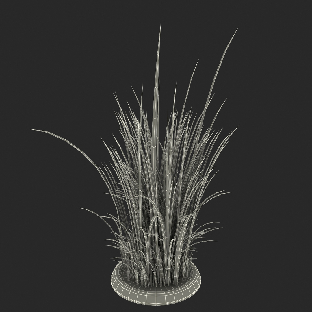 C4d Grass 2