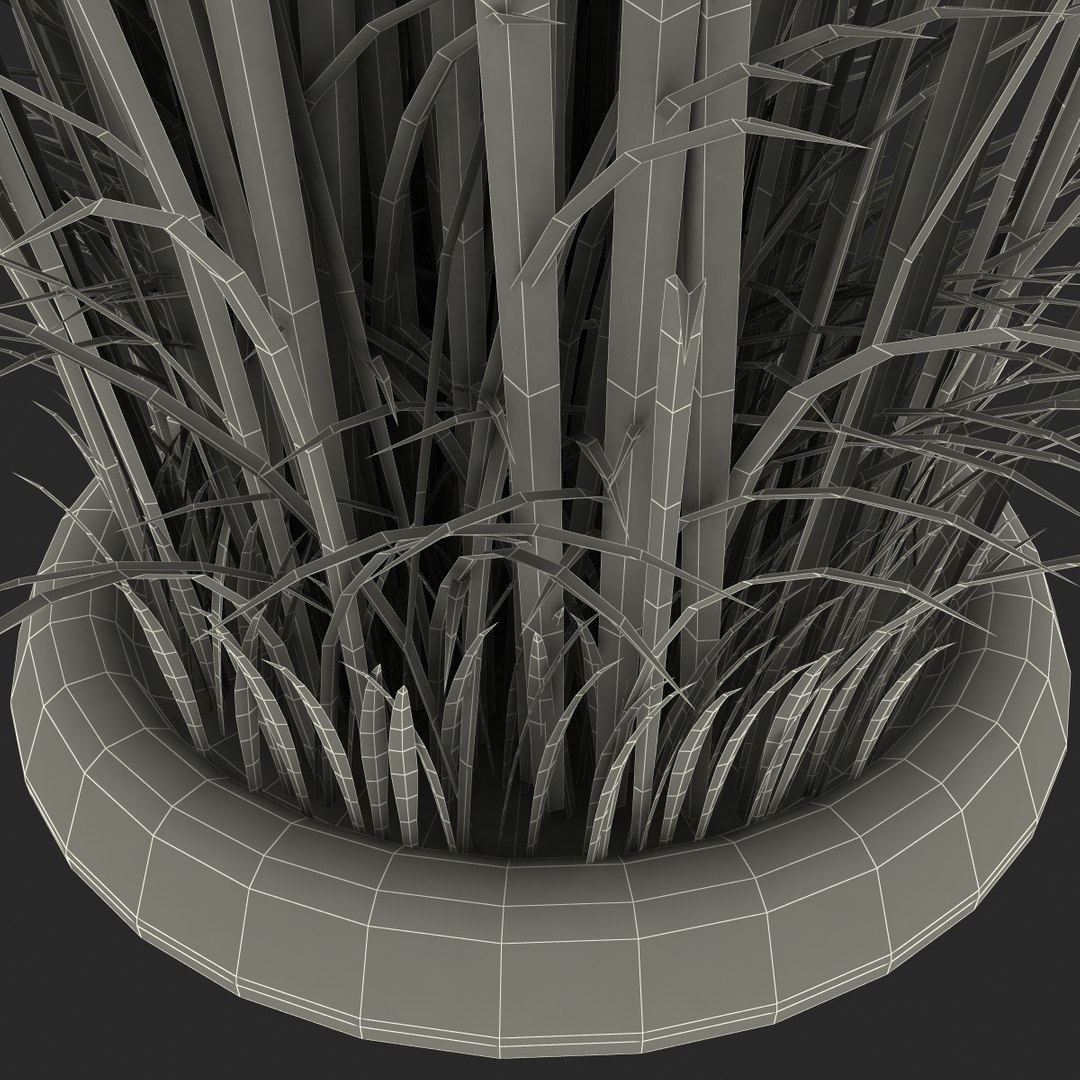 C4d Grass 2