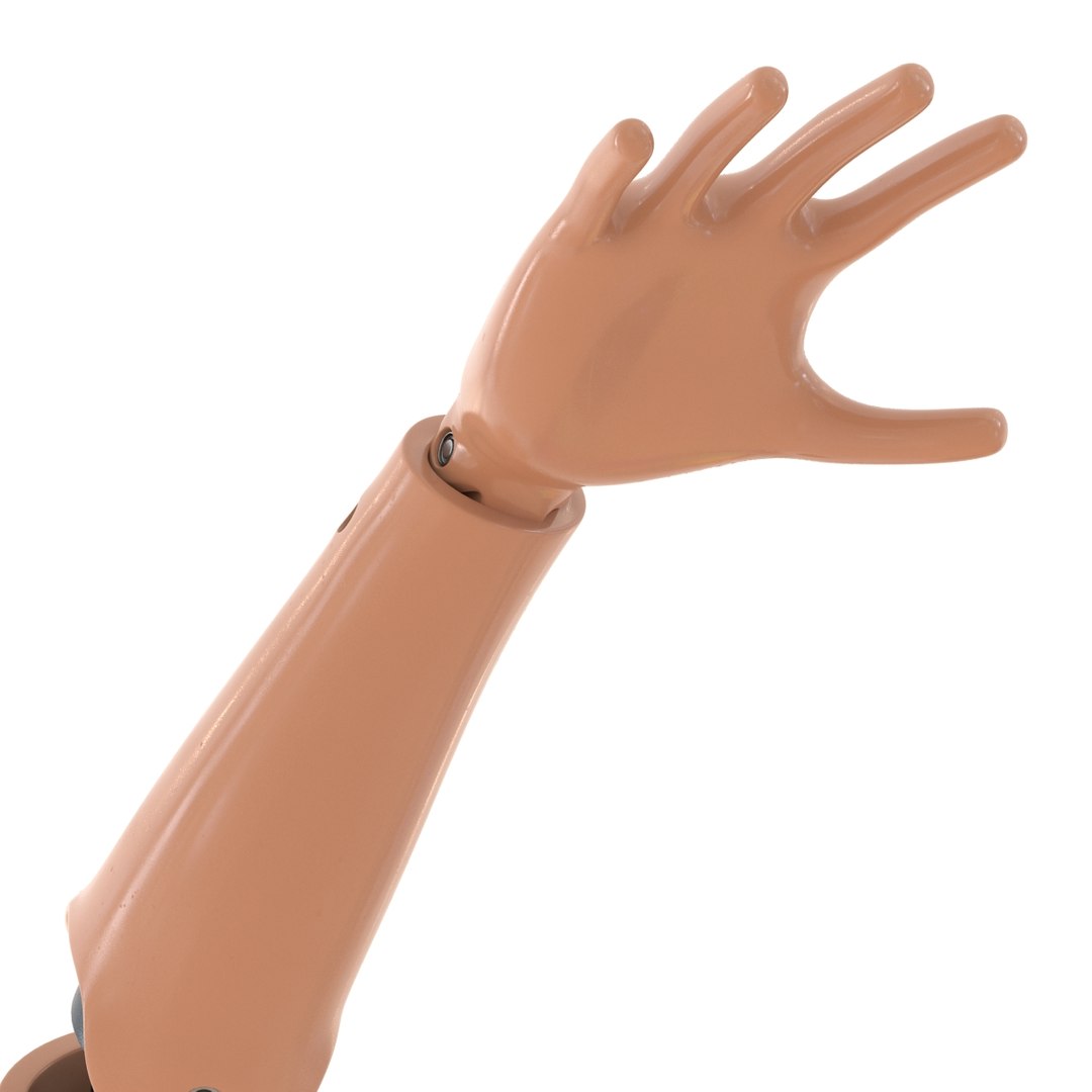 crash test dummy hand 3d model
