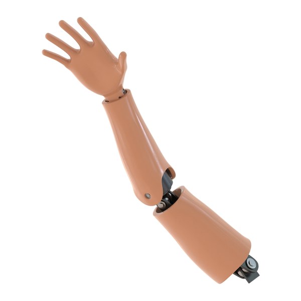 crash test dummy hand 3d model