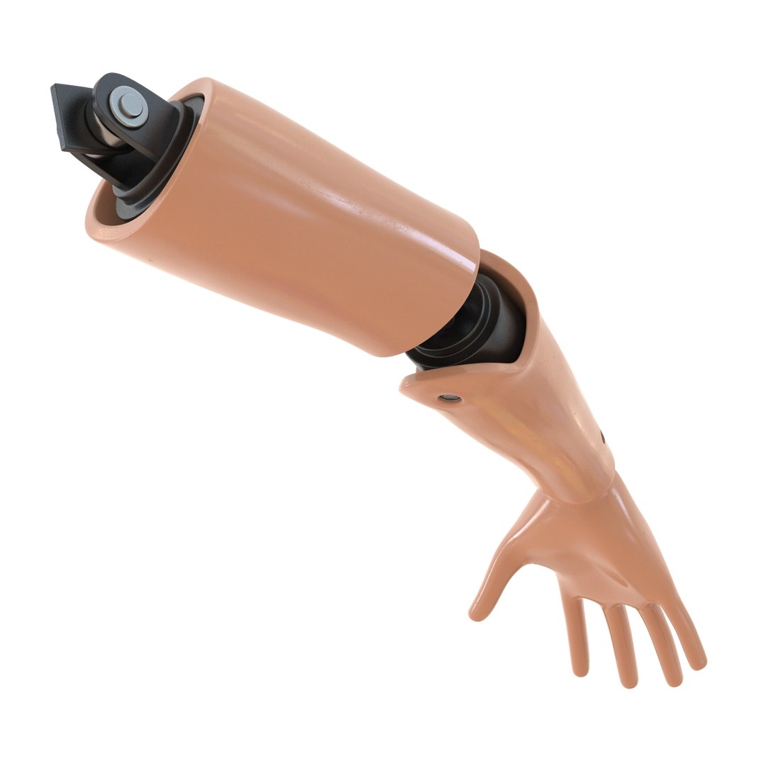 crash test dummy hand 3d model