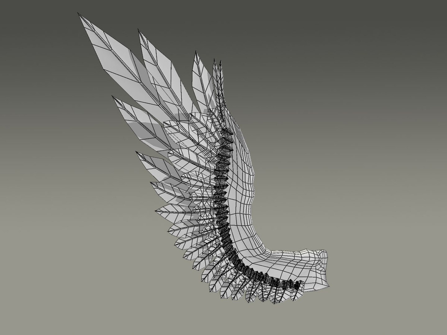 Wings Bird Angel 3d Model