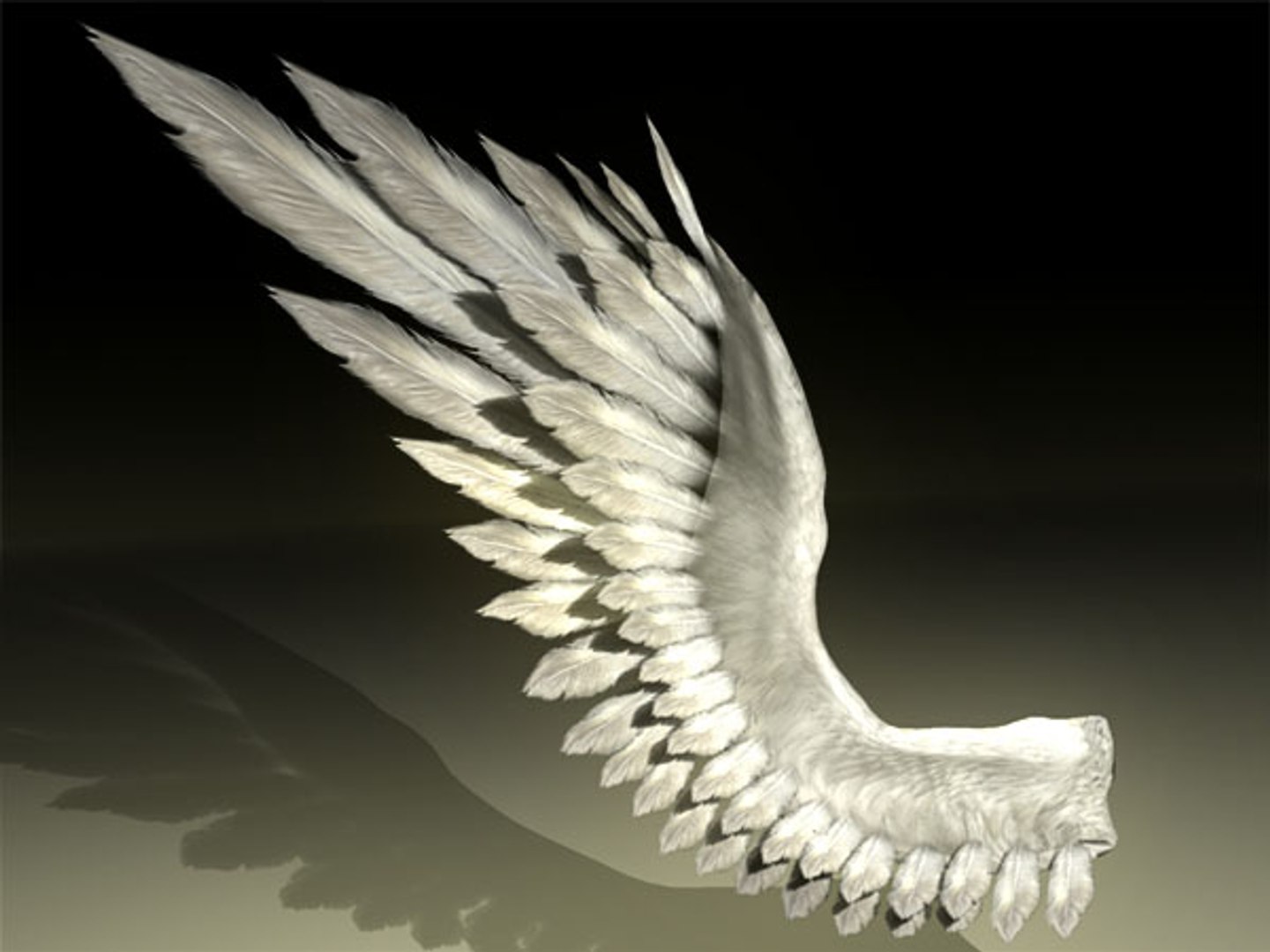 Wings Bird Angel 3d Model
